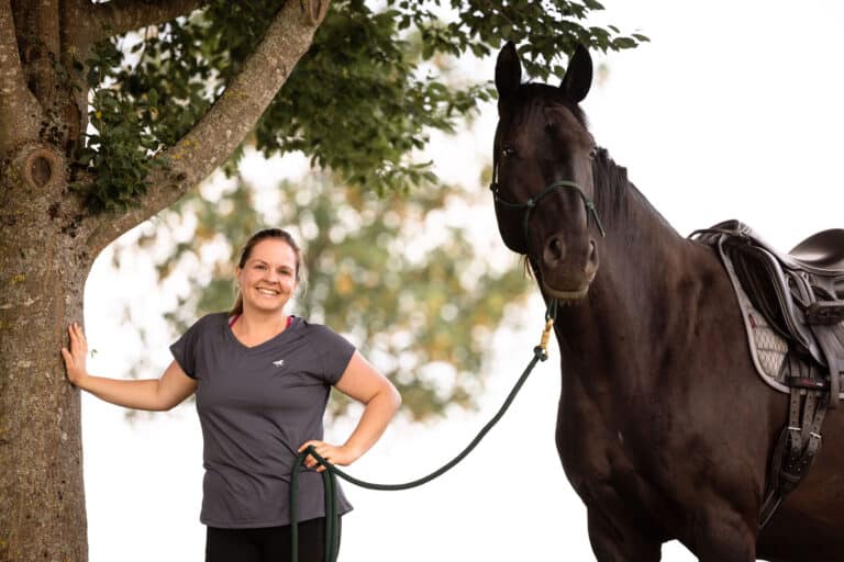 Fohlen ABC - Jungpferdeausbildung im Natural Horsemanship